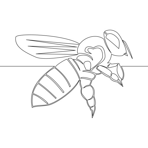 Bee Line Drawing Vector Images (over 6,100)