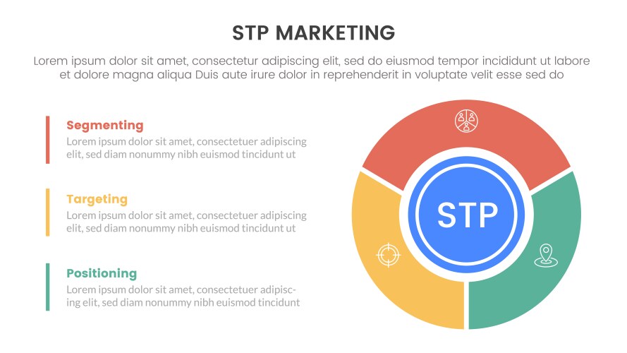 Stp marketing strategy model for segmentation Vector Image