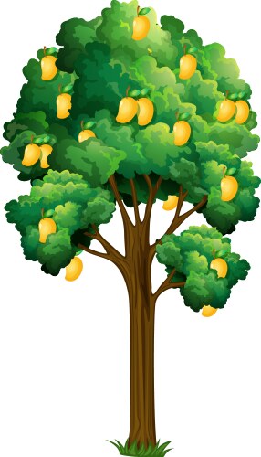 Mango Tree Clip Art