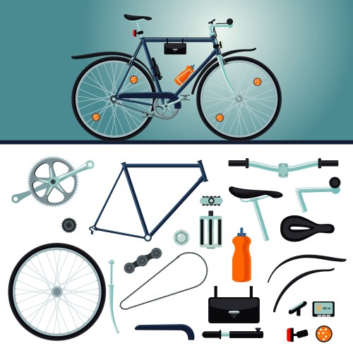 Infographic of main bike parts with the names Vector Image