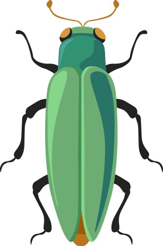 Weevil beetle Royalty Free Vector Image - VectorStock
