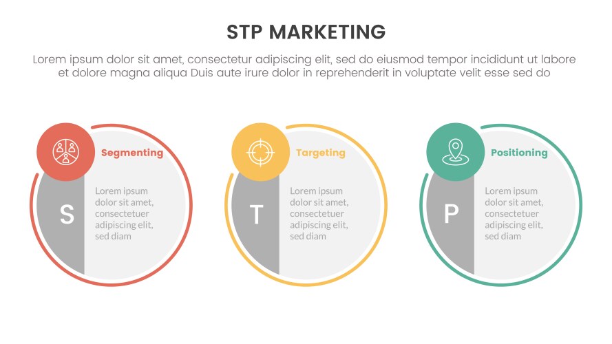 Stp marketing strategy model for segmentation Vector Image