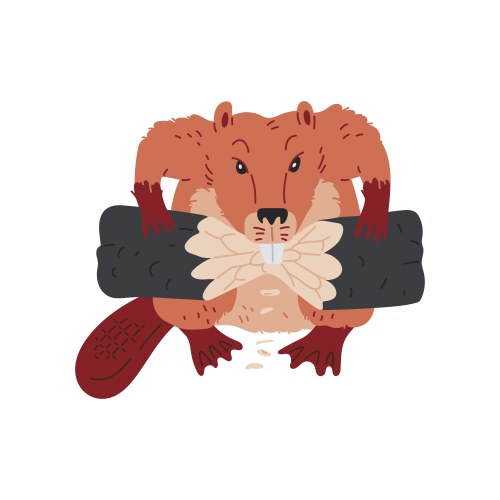 Beaver Bite Vector Images (over 180)