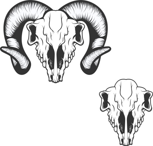 Ram skull Royalty Free Vector Image - VectorStock