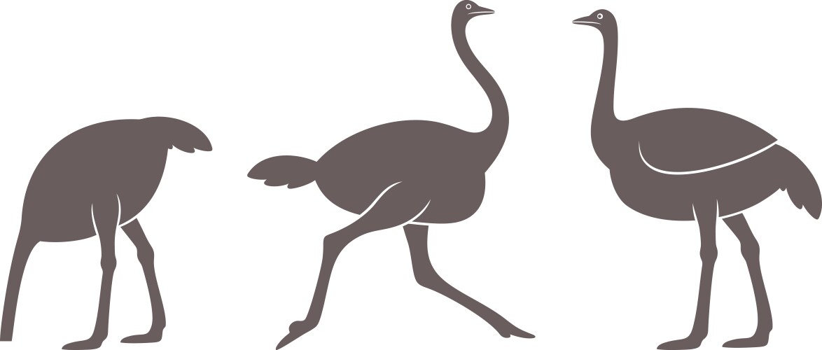 Ostrich 2 Royalty Free Vector Image - VectorStock