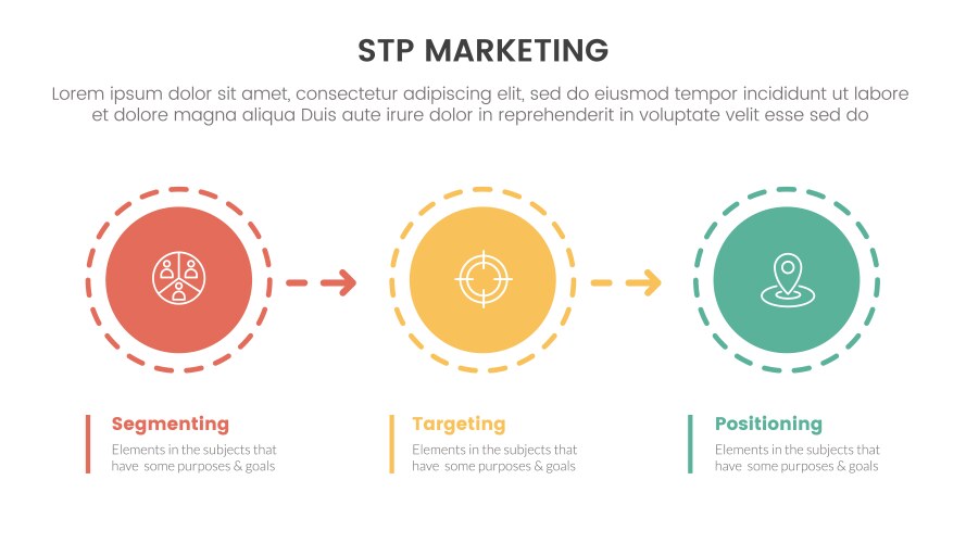 Stp marketing strategy model for segmentation Vector Image