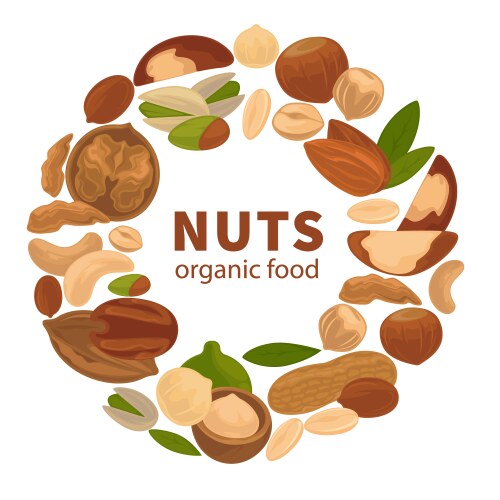Nuts icons set Royalty Free Vector Image - VectorStock