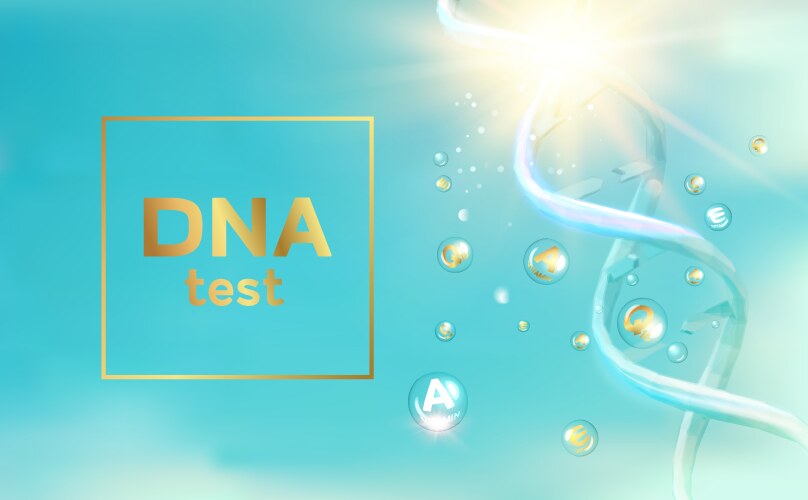Beautiful structure of dna molecule connection Vector Image