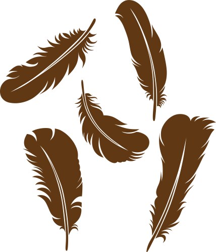 Feather set Royalty Free Vector Image - VectorStock