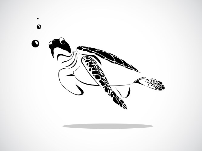 Turtle Vector Images (over 37,000)