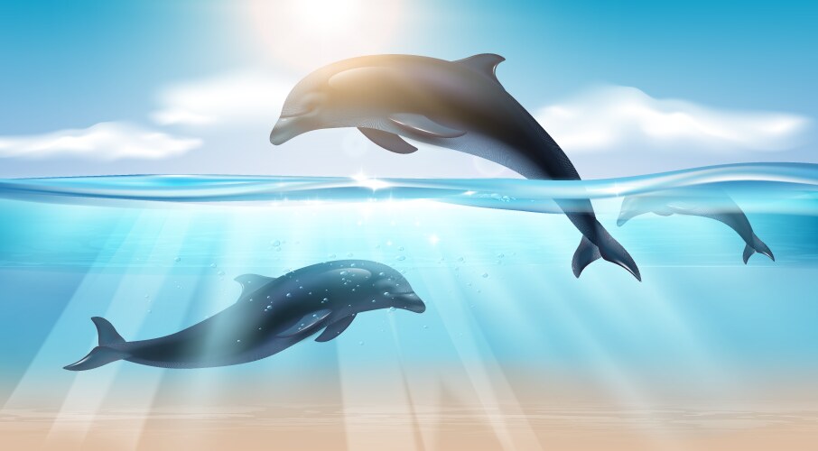 Background Dolphin Vector Images (over 12,000)