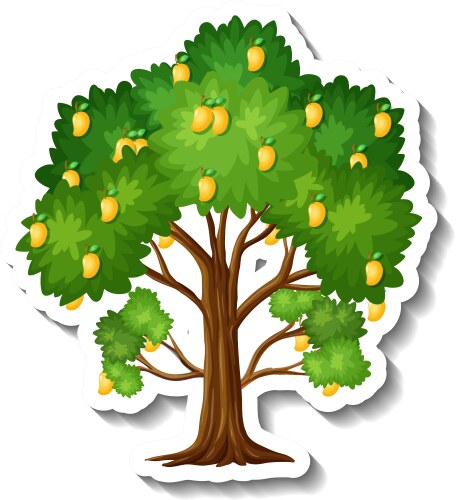 A mango tree sticker on white background Vector Image