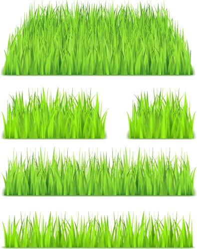 Grass Vector Images (over 360,000)