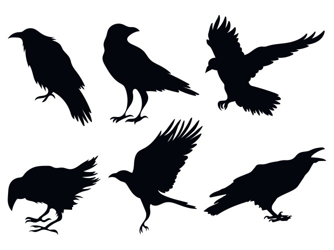 Crow Outline Vector Images (over 2,300)