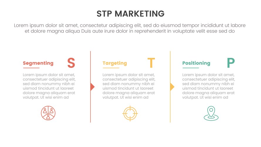 Stp marketing strategy model for segmentation Vector Image