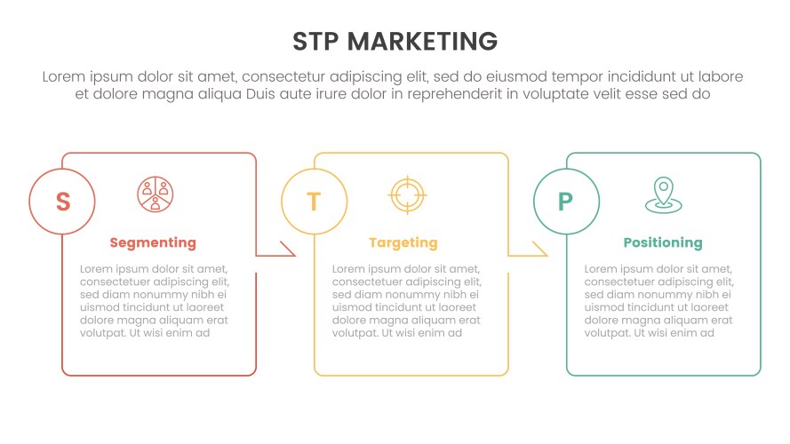 Stp marketing strategy model for segmentation Vector Image
