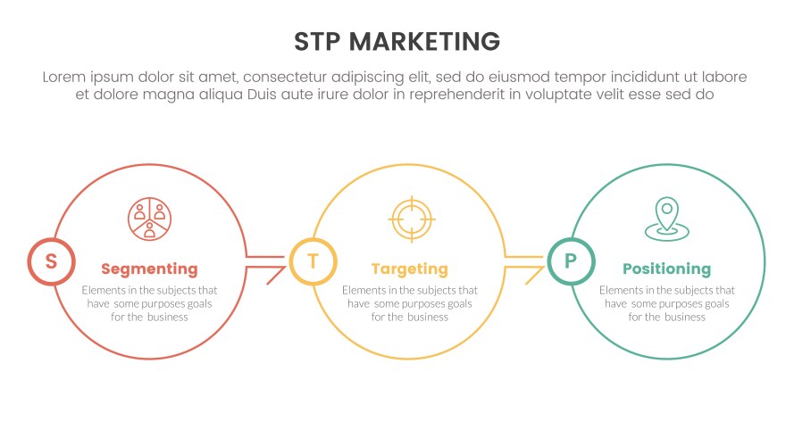 Stp marketing strategy model for segmentation Vector Image