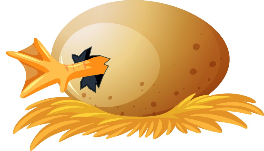 Duck Hatching Vector Images (over 280)