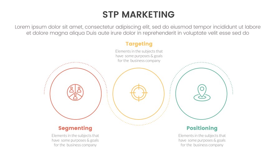 Stp marketing strategy model for segmentation Vector Image