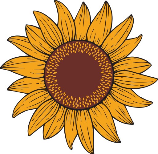 Sunflower Vector Images (over 50,000)