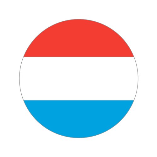 Simple round flag Royalty Free Vector Image - VectorStock