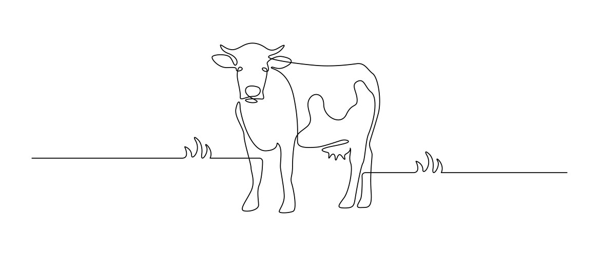 Cow Line Drawing Vector Images (over 7,100)