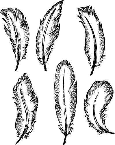 Feather Outline Vector Images (over 59,000)