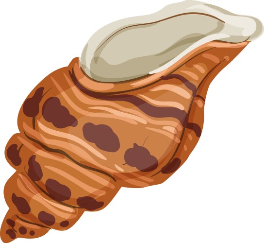 Snail sea shell cartoon Royalty Free Vector Image