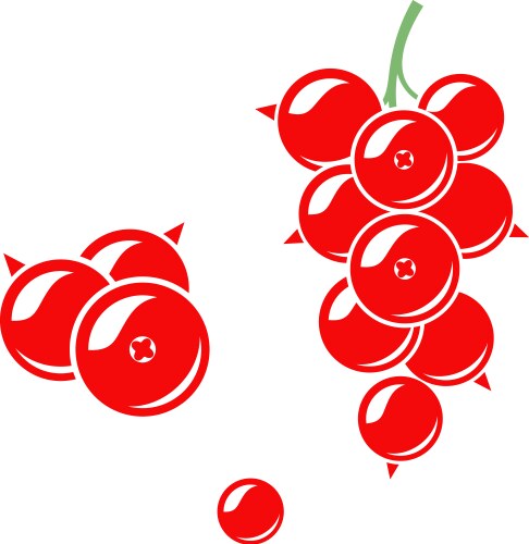 Currant icon white background Royalty Free Vector Image