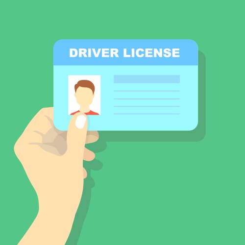 Car driver license identification card in hand Vector Image