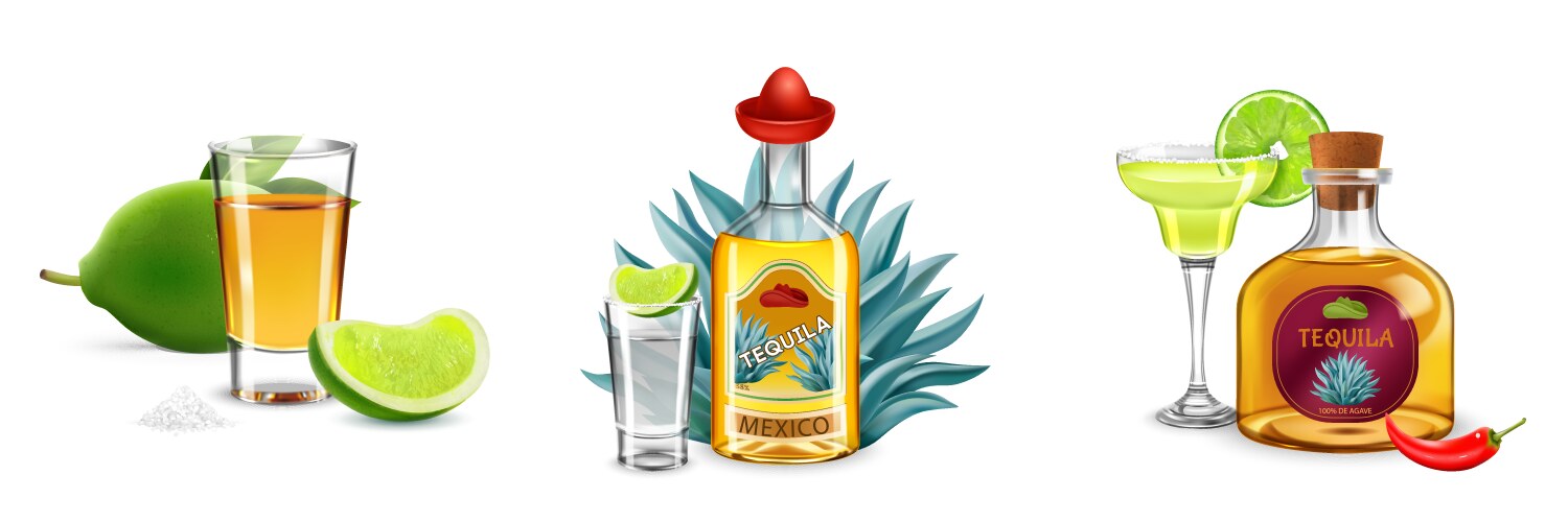 Tequila realistic Royalty Free Vector Image - VectorStock