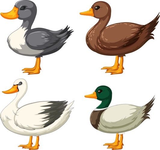 Cute cartoon duck Royalty Free Vector Image - VectorStock