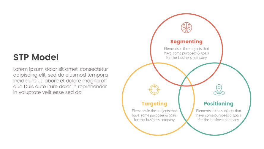 Stp marketing strategy model for segmentation Vector Image