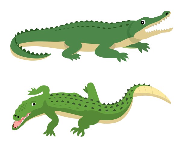 Friendly cute green alligator funny wild animal Vector Image