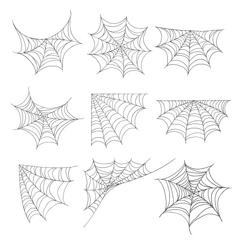Halloween spiderweb black cobweb and spider Vector Image