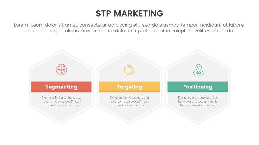 Stp marketing strategy model for segmentation Vector Image