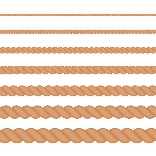 Gold rope pattern Royalty Free Vector Image - VectorStock