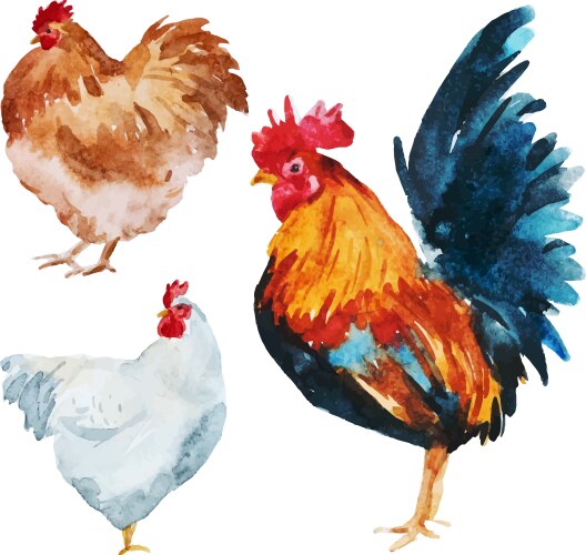 Chicken Vector Images (over 220,000)