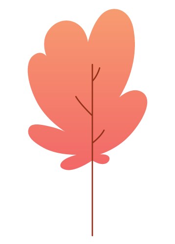 Flat minimal leaf of bush shrub tree wild plant Vector Image