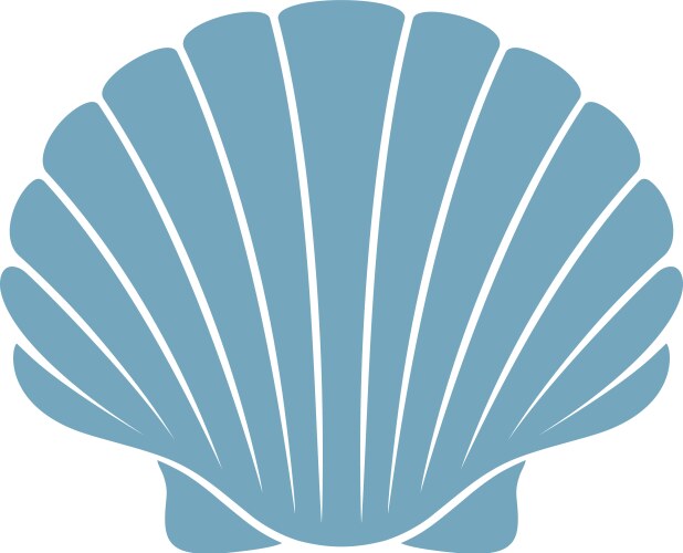 Scallop Royalty Free Vector Image - VectorStock
