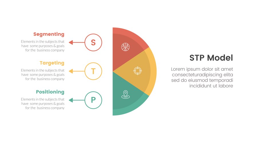 Stp marketing strategy model for segmentation Vector Image