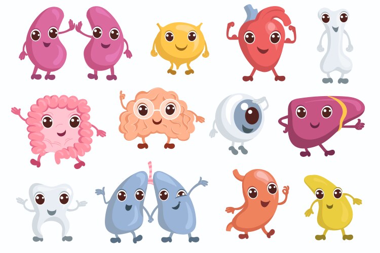 Cute and funny healthy human organ characters Vector Image