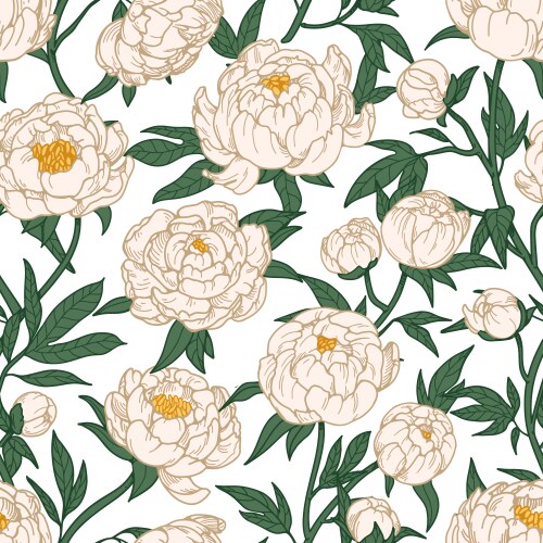 Peonies Royalty Free Vector Image - VectorStock