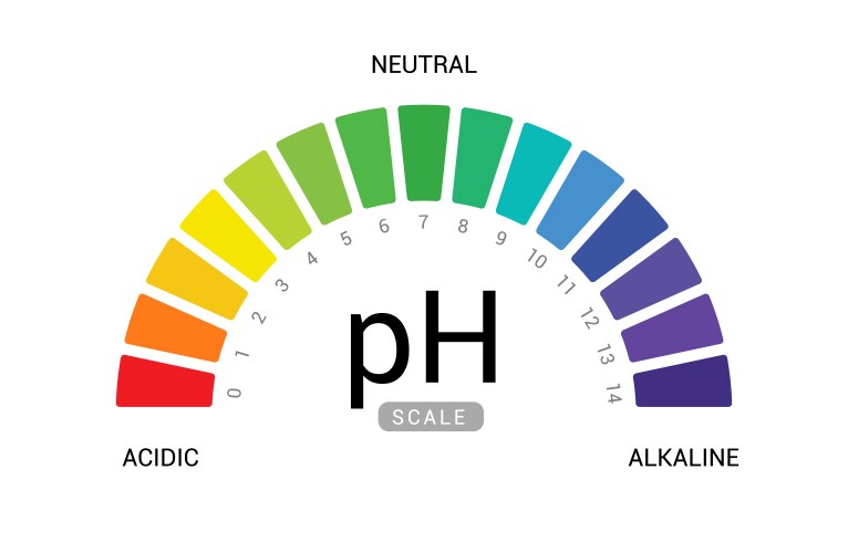 Ph scale universal indicator test strips Vector Image