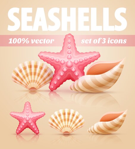 Seashell background vintage summer sea shells Vector Image