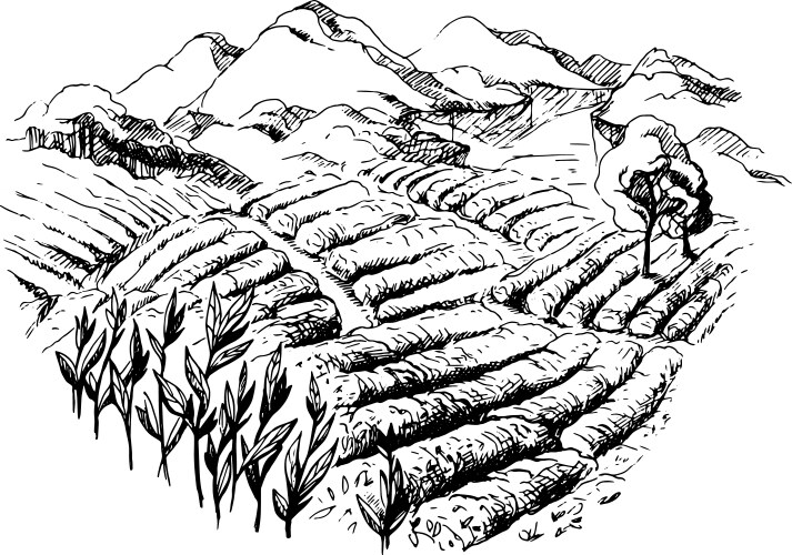 Tea Vector Images (over 280,000)