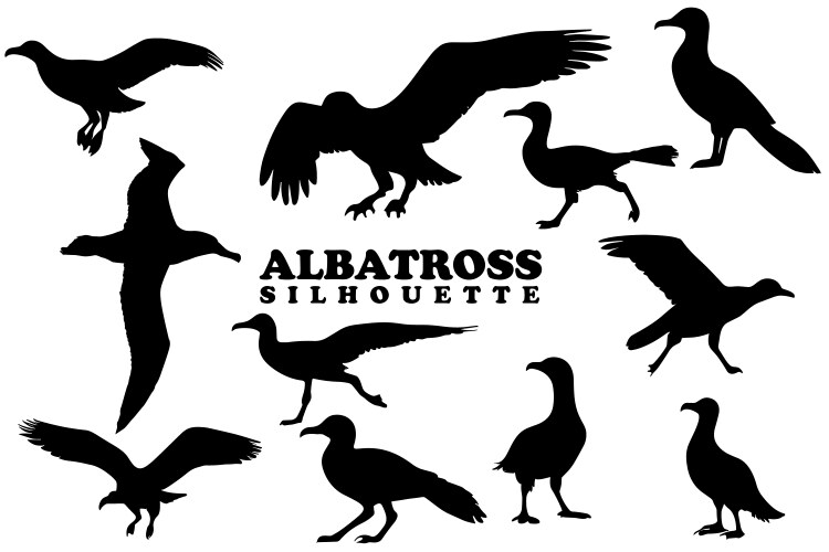 Albatross-pattern Royalty Free Vector Image - VectorStock