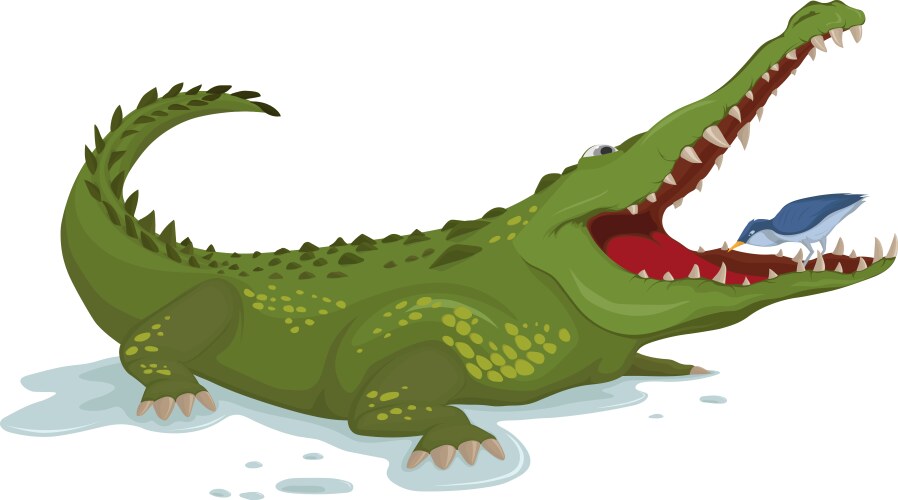 Crocodile Teeth Bird Vector Images (over 110)