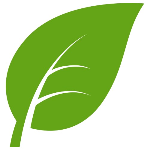 Eco green color leaf logo flat icon isolated Vector Image