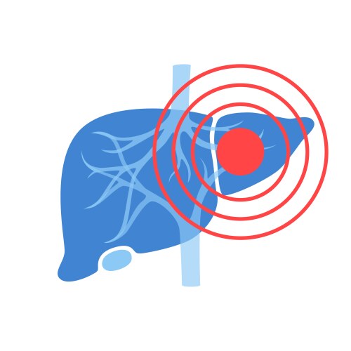 Internal Vector Images (over 490,000)